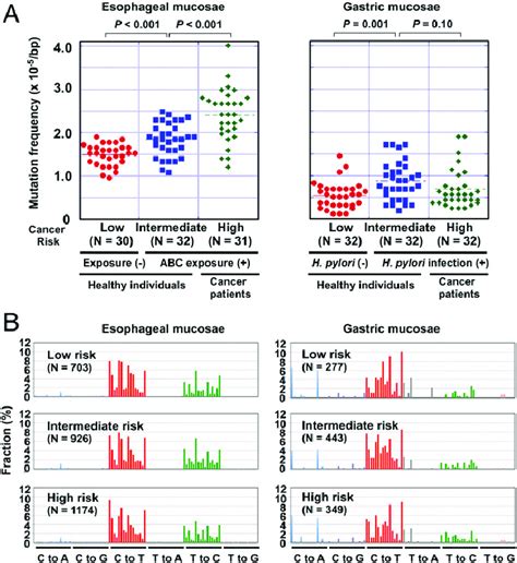 Accumulation Of Somatic Mutations In Esophageal And Gastric Mucosae