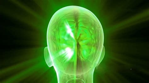 Drug Addiction Alters The Brains Limbic System Via Influencing