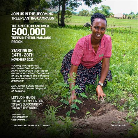 Tree Planting Campaign Starting On 14th November 2021 Floresta Tanzania