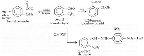 An Organic Compound With Molecular Formula C9h10o Forms 2 4 Dnp Derivative Reduces Tollens