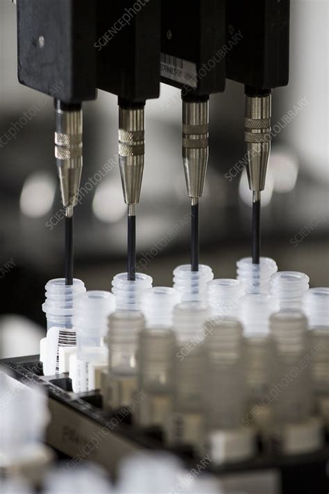 Dna Genotyping And Sequencing Stock Image C0386480 Science Photo Library