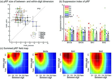 The PRF Configurations In Each ROI A The PRF Sizes Of Between And Download Scientific