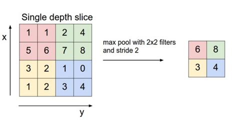 Introduction To Convolution Neural Network Geeksforgeeks