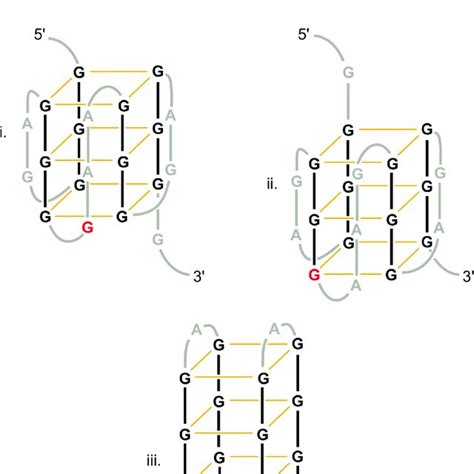 A Second G4 Sequence Can Lead To Nascent Strand Mediated Attenuation Of