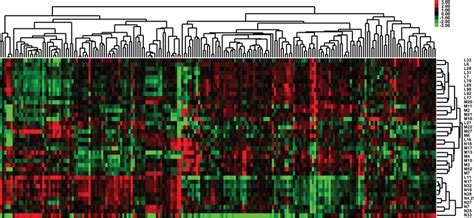 Unsupervised Hierarchical Clustering Of Mirna Expression Levels Using