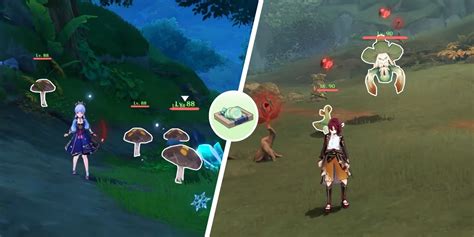 Where To Get Dormant Fungal Nucleus In Genshin Impact