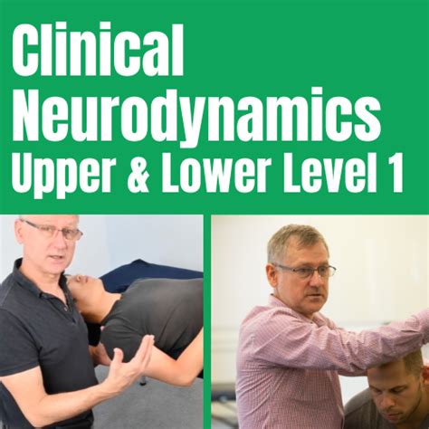 Collections Neurodynamic Solutions