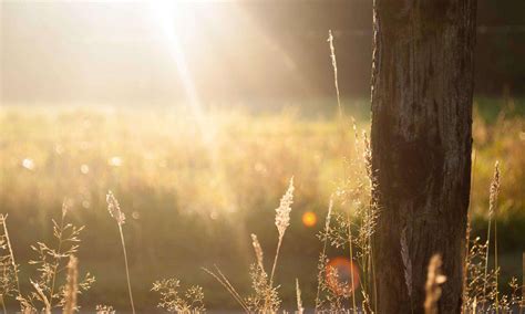 Navigating The Challenges Of Cloud Computing Security — Association Of