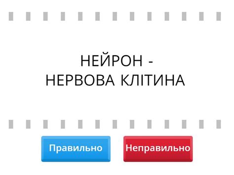 Нервова система тварин Правильно неправильно