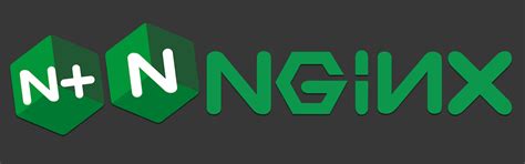 Aebian How To Build The Nginx RTMP Module