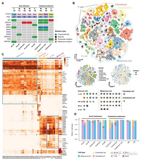 多色文献分享：探究黑色素瘤的肿瘤免疫微环境 知乎