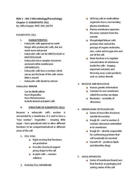 Introduction To Eukaryotes Pdf Cell Biology Cell Nucleus