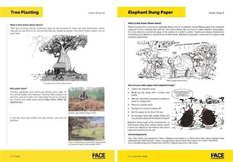 Evaluation Shows Value Of Pace Action Sheets For Practical Learning And Problem Solving Pace