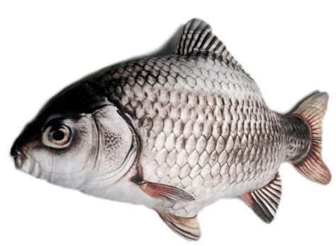 Мяка дитяча іграшка Риба Карась срібний 50 см фото відгуки характеристики в інтернет