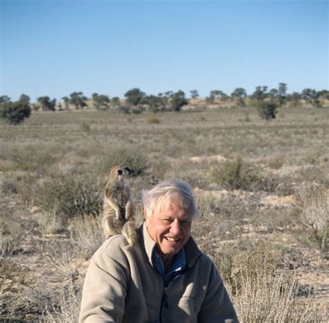 Geração Verde Portugal Parabéns Sir David Attenborough