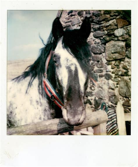 Instagram Before It Was Cool Candid Polaroids By Linda Mccartney Reveal An Intimate Glimpse