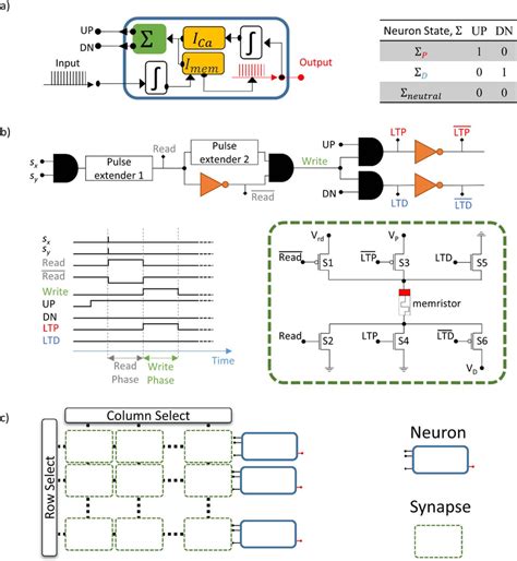 A Conceptual Block Diagram Of The Neuron Module Input Spikes Are