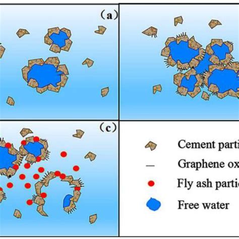 Schematic Diagram Of The Formation Of Flocculation Structure A