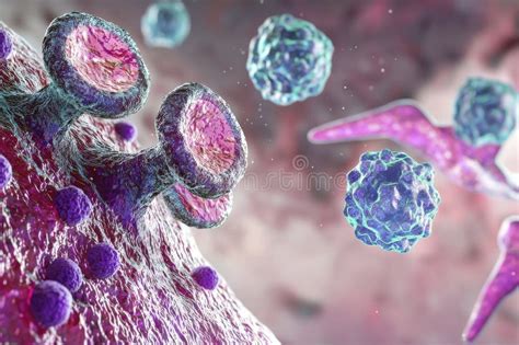Detailed Microbial Image Of Cells And Interactions Under Microscope