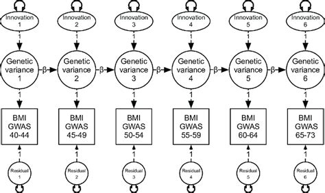 Autoregression Model Depicting Genome Wide Variation In Bmi At Each Age Download Scientific
