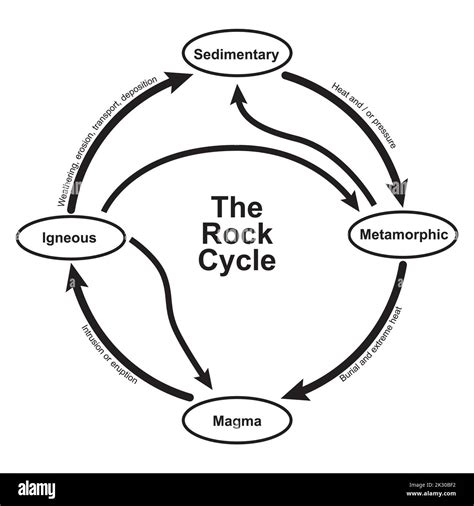 Rock Cycle Scheme Type Of Rocks Rocks Classification Vector