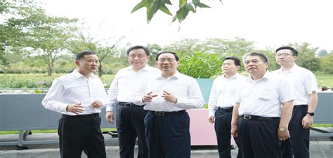 上海市松江区人民政府