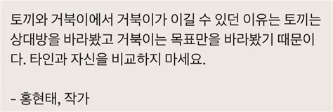 토끼와 거북이 이야기에서 거북이가 이긴 이유 유머 움짤 이슈 에펨코리아