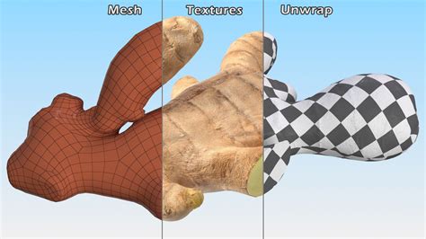 Ginger Without Part 3d Model 29 3ds Blend C4d Fbx Max Ma Lxo