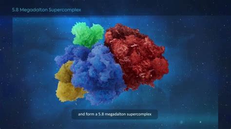 Alexey Amunts On Linkedin Structural Basis Of Mitochondrial Membrane