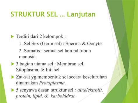 Anatomi Fisiologi Sel Dan Jaringan Pptx