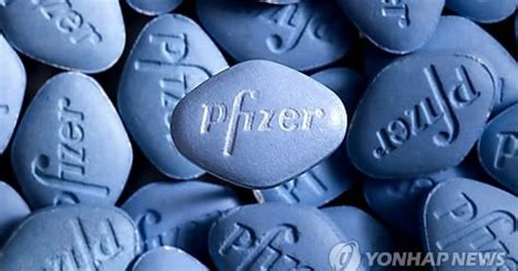 국내서 가짜 비아그라 196만정 팔렸다 밀수 일당 적발