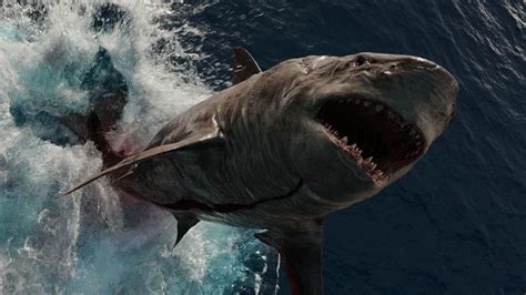 The Ending Of Meg 2 The Trench Explained In Detail