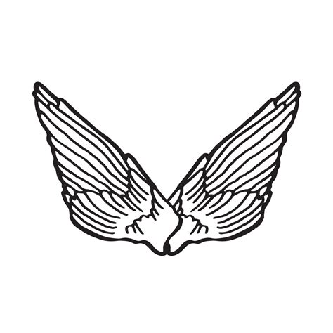 Sketch Wings Pair Hand Drawn Angel Vector 11350100 Vector Art At Vecteezy