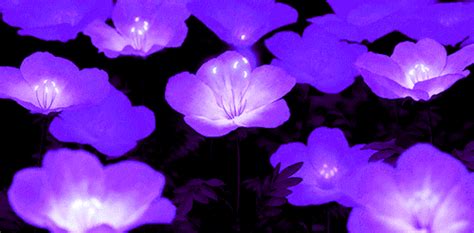 56 Purple Discord Pfps Ideas Purple Aesthetic Dark Purple Aesthetic