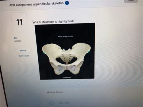 solved apr assignment appendicular skeleton i 11 which