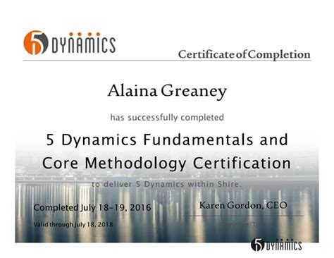 5 Dynamics Certification Docx Information And Network Security