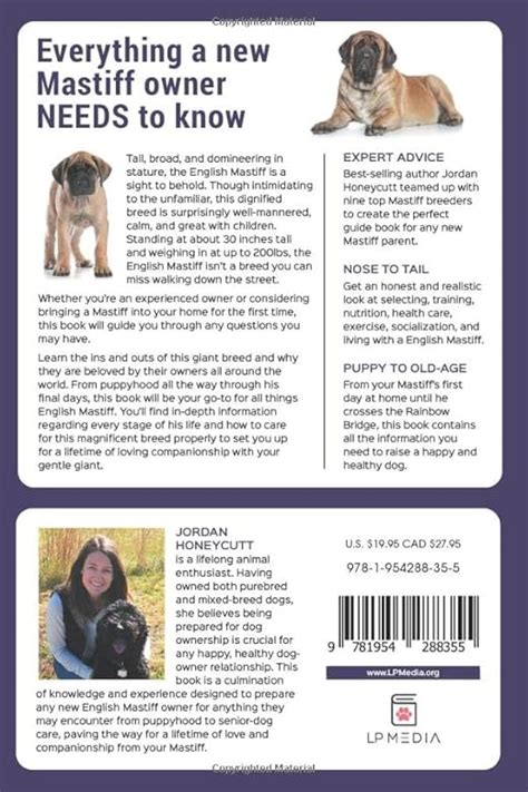 Do English Mastiffs Need Socialization