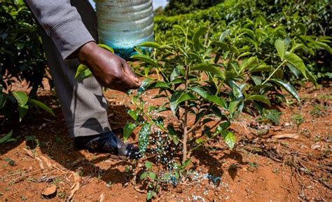 Agricultural Fertilizers