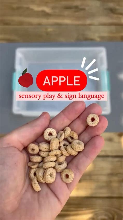 Apple Sensory Play Sign Language Taste Safe Sensory Ideas Apple In ASL