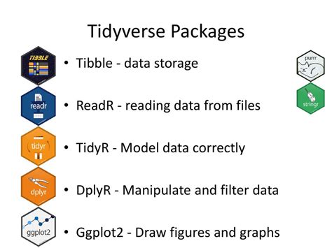 Using The R Tidyverse Packages Ppt Download