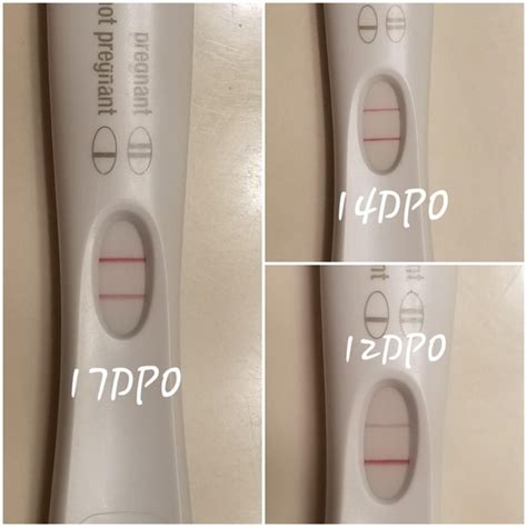 Cvs Digital And Early Result And Clearblue Rapid And Digital Tests Am I Really Pregnant R Lineporn