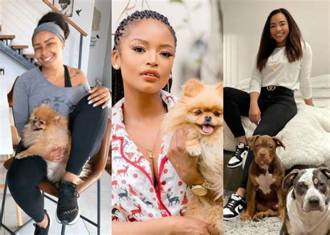 Aww Six Sa Celebs And Their Cute Pets