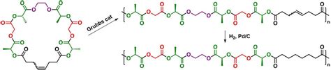 Scheme 10 Sequence Controlled Polyesters Prepared Via Entropy Driven