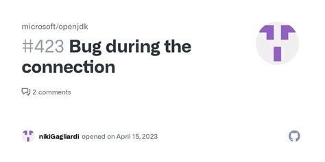 Bug During The Connection · Issue 423 · Microsoftopenjdk · Github