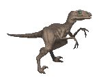  De Velociraptor Andando Para Compartir En Velociraptores 