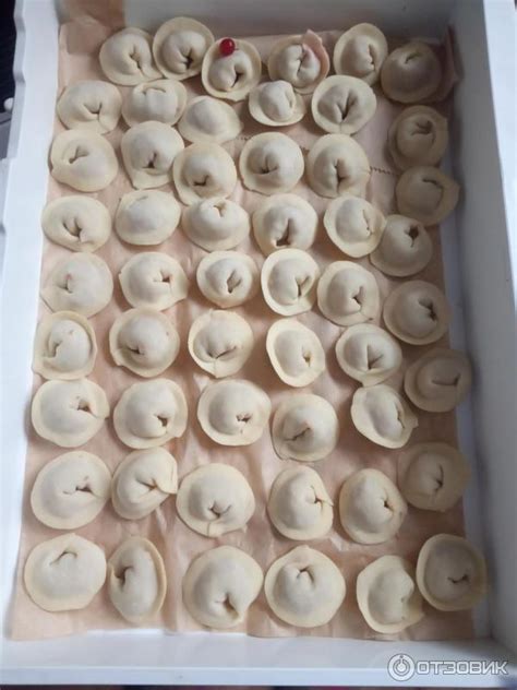 Отзыв о Тесто для пельменей Тестов Домашние пельмени за сорок минут