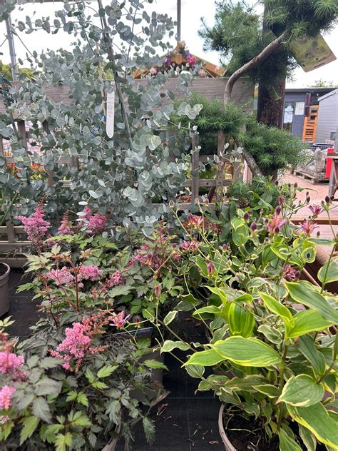 The Plant Plot The Plant Plot Added A New Photo