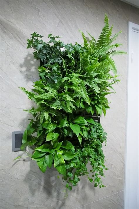 開箱 Diy 綠牆植栽牆生態牆 In 浴室 壁掛花器 療癒系 植栽盆 方形 Mobile01