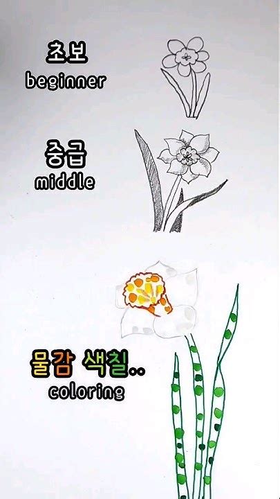 쉬운 거부터 꽃 수선화 그리는 방법 그림 Youtube