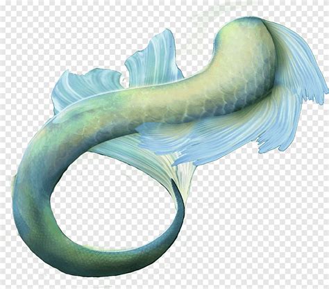 무료 다운로드 인어 꼬리 02 청록색과 노란 인어 꼬리 Png Pngegg